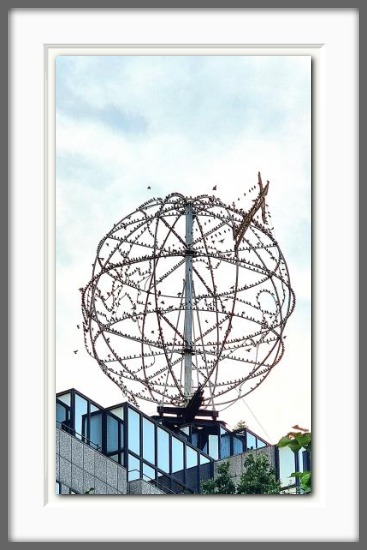 Dirk Gilberg - Fotografie "Schult-Welt-Vögel" Edition im Werkladen
